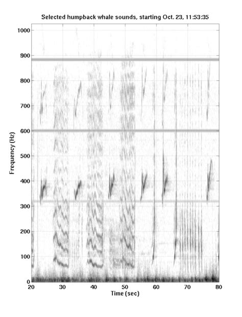 Spectrogram Of Humpback Whale Song Used In Matched Field Download