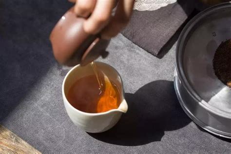 想喝傳統、古法的烏龍茶？我們直接去烏龍茶之鄉找到了它！ 每日頭條