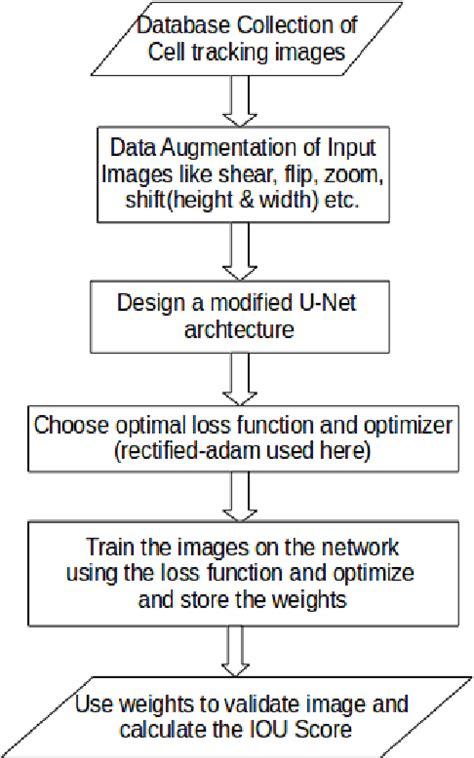 Figure 1 From Cell Segmentation By Modified U Net Architecture For