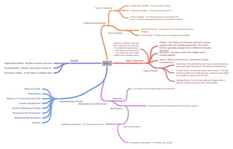 Unit 1 Coggle Diagram