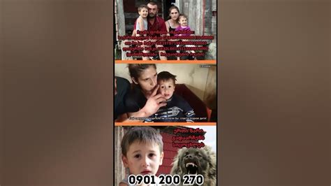 🆘 🆘 🆘 უზარმაზარმა გაცოფებულმა კავკასიურმა ნაგაზმა ბავშვს თავში კბილები ჩაავლო Youtube