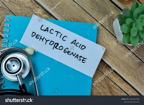 Lactate Dehydrogenase Structure Over 2 Royalty Free Licensable Stock