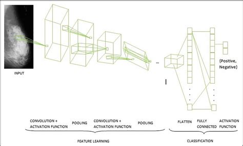 Figure 1 From End To End Improved Convolutional Neural Network Model For Breast Cancer Detection
