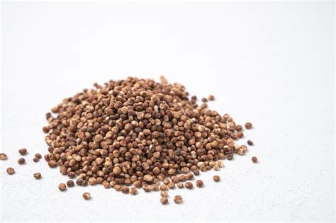 Premium Photo Sorghum