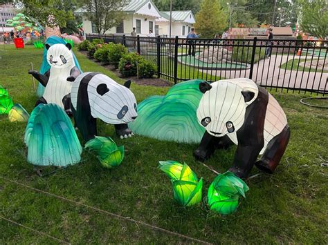 some of the 25 pandas