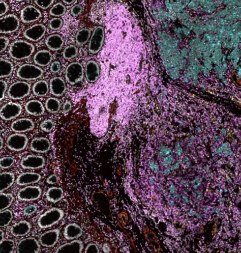 Talk2Data Single Cell And Spatial Analytics Hub