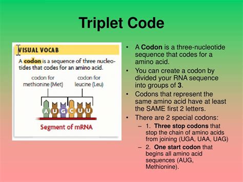 PPT Chapter 8 From DNA To Protein 8 1 Identifying DNA As The Genetic Material PowerPoint