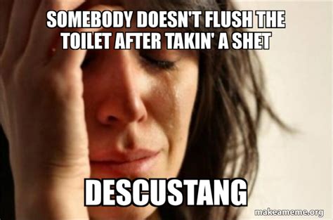 Somebody Doesnt Flush The Toilet After Takin A Shet Descustang First World Problems Meme