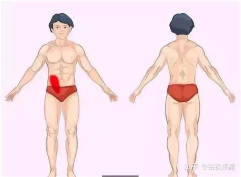 【谈疼痛】疼痛对照表——会说话的身体 知乎