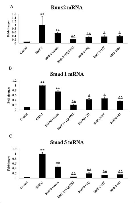 The Mrna Expression Of Runx2 Smad1 And Smad5 The Columns Represent Download Scientific