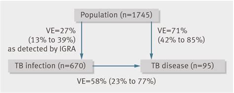 Schematic Representation Of Protective Effect Of Bcg Immunisation