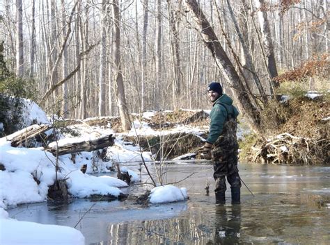 Can Community Diversity Predict Predator Abundance Oikos Journal