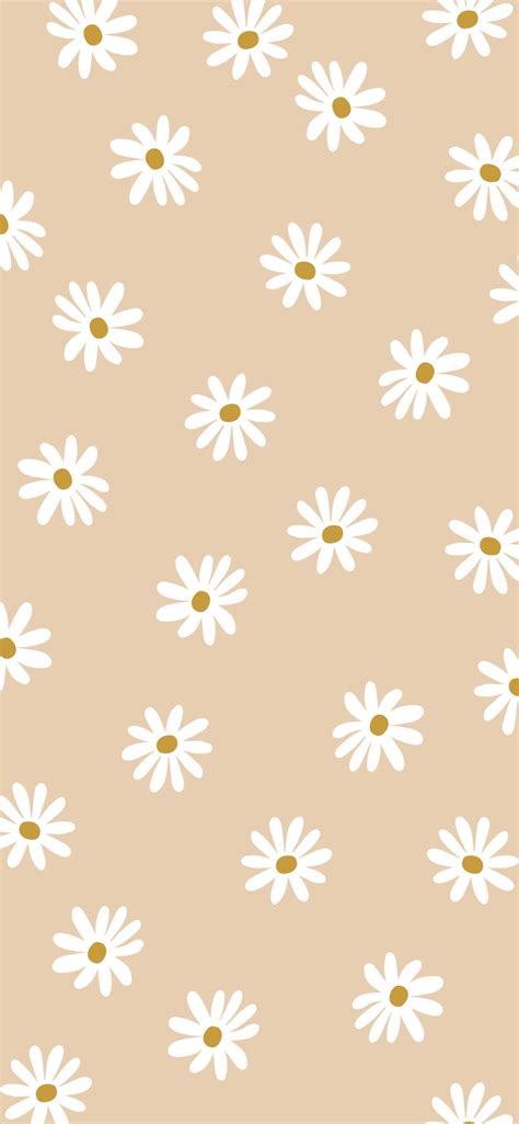 Beige Background