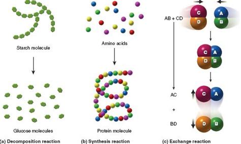 Fine Beautiful Decomposition Reaction Definition Chemical Equation Reactants And Products