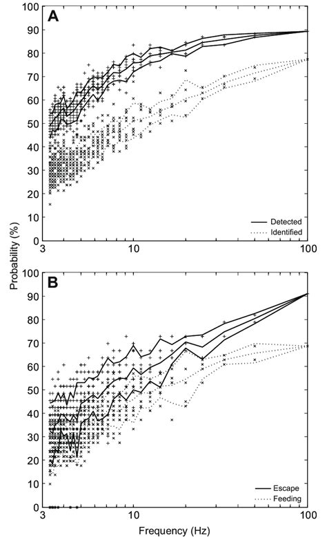 cumulative detection and identification algorithm efficiency expressed