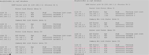 Ospf Areas The Ospf Stub Area Sass Learns
