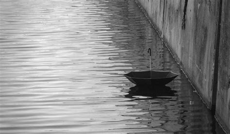 Fotos Revived Fascinante Espectáculo