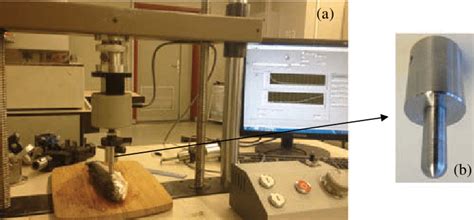 A Compression Test Using The Universal Testing Machine And B Download Scientific Diagram