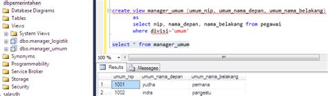 Using View Ms Sql Server Nyok Ngoding