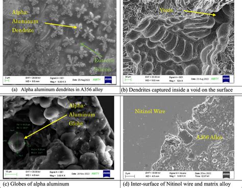 Alpha Aluminum Dendrite Of A356 Alloy Captured By Sem Download
