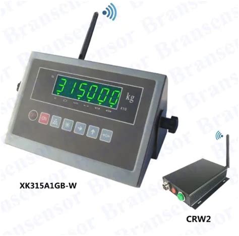 Stainless Steel Housing Wireless Functions Weighing Indicators Displayers With RS RS