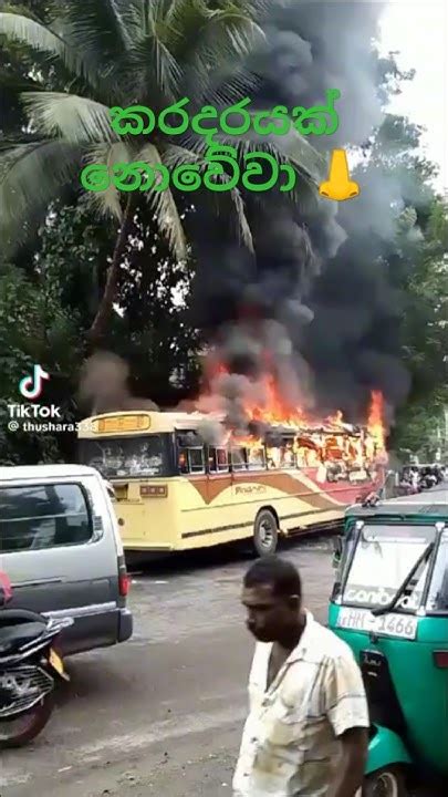 කිසිදු කරදරයක් නොවේවා Viralvideo Srilanka Youtube