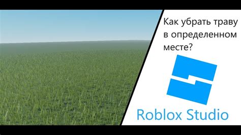 КАК УБРАТЬ ТРАВУ В ОПРЕДЕЛЕННОМ МЕСТЕ Youtube