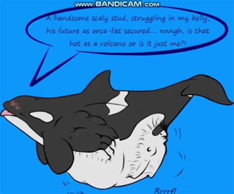 Orca Vore Digestion Thisvid Com