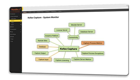 Kofax Capture Agentless Monitoring Reveille Software
