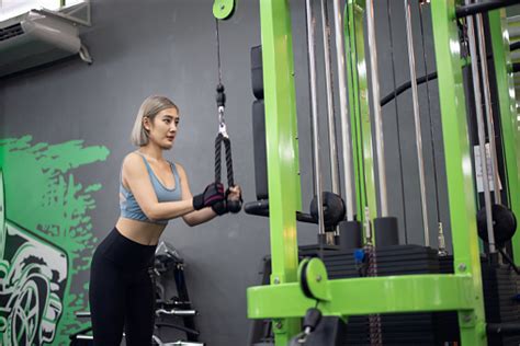 피트니스 클럽에서 삼두근 로프 풀다운으로 운동하고 체육관에서 운동을하는 강한 젊은 아시아 여성 밧줄에 대한 스톡 사진 및 기타 이미지 Istock