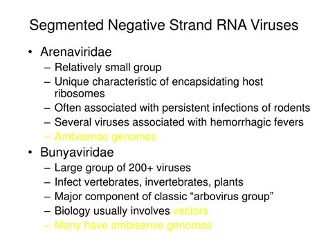 Ppt Rna Viruses Powerpoint Presentation Free Download Id3000472