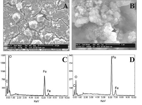 Scanning Electron Micrographs A B And Energy Dispersive X−ray