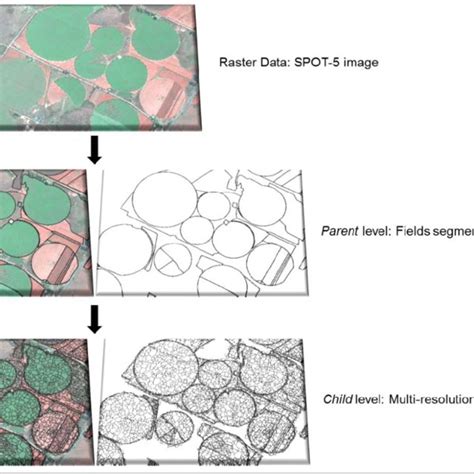 1 Hierarchical Within Field Anomaly Detection Segmentation Process