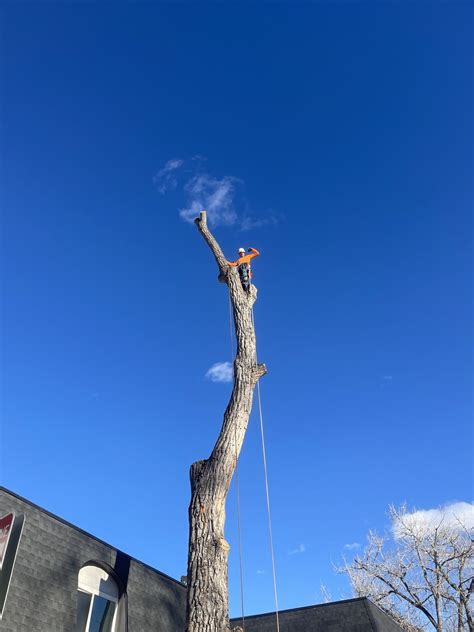 Charles Perry On Linkedin It Is A Special Day When The Boss Can Get Out Of The Office And Back