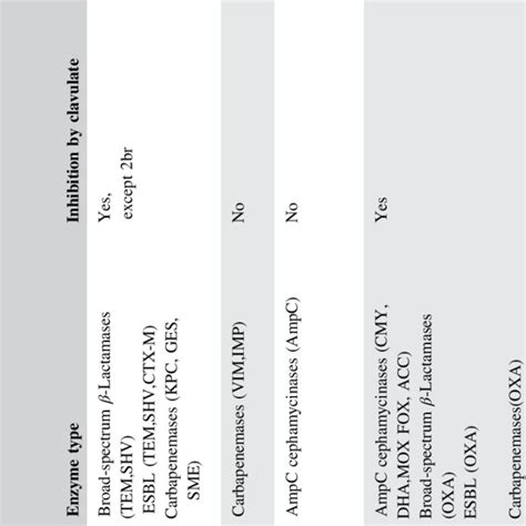 Classification Of Beta Lactamase Enzymes Download Table