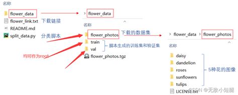 Pytorch霹雳巴拉——图像分类篇 Csdn博客