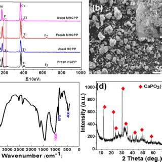 Characterization Of HCPP And MHCPP A Particle Size Distribution Of Download Scientific Diagram