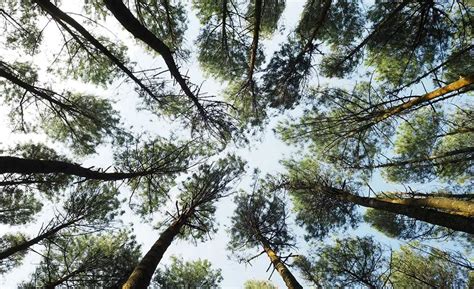 7 Ways Salesforce Metadata Improves Customer Experience Autorabit