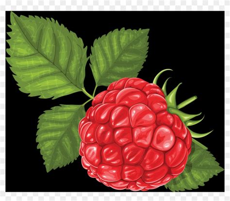 Raspberry Png Transparent Png 1600x1329 852950 PinPng