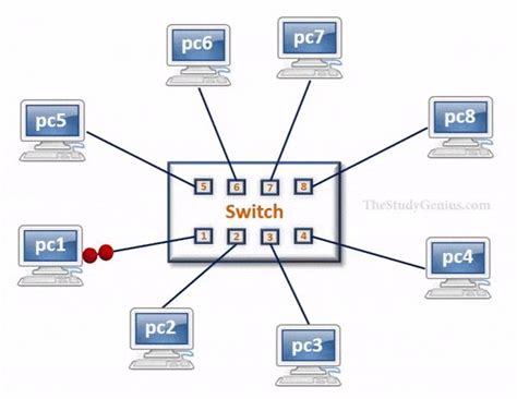 what is a switch in networking