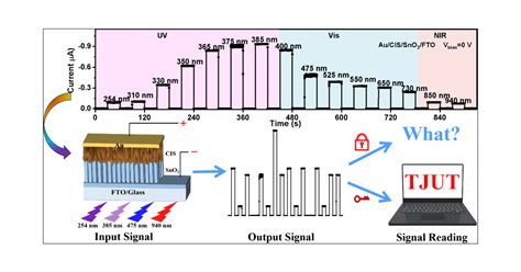 Uvvisnir Broadband Self Powered Cuins2sno2 Photodetectors And The