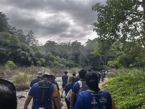 Mpt South Partners With Lrmc For Reforestation Efforts At Ipo Watershed