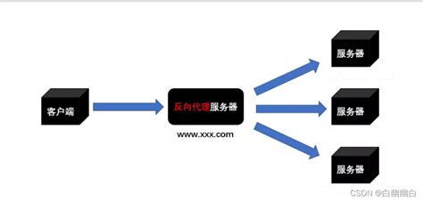 Nginx详解 第五部分：ngnix反向代理（负载均衡 动静分离 缓存 透传 ）nginx反向代理缓存 可以缓存动态内容吗 Csdn博客