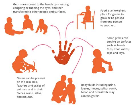 Hand Hygiene Germs