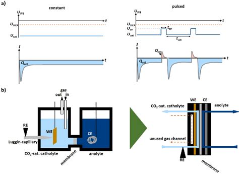 A Schematic Depiction Of The Course Of Applied Voltage Top And Download Scientific Diagram