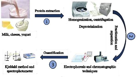 Techniques Involved In Protein Extraction Download Scientific Diagram