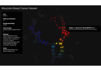 Examples KeplerMapper Documentation
