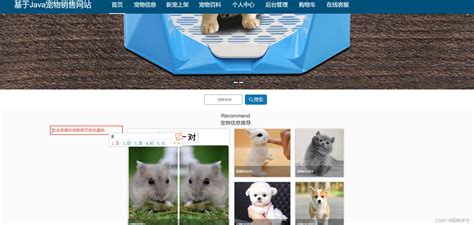 Java计算机毕业设计宠物销售网站（附源码、数据库）基于java的宠物商品销售网站的设计与实现 Csdn博客