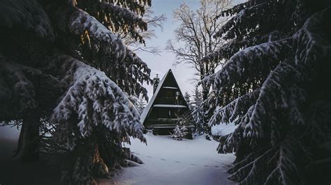 Forest Cabin Wallpapers Top Free Forest Cabin Backgrounds