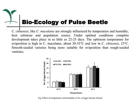 Bio Ecology And Management Of Pulse Beetle Ppt